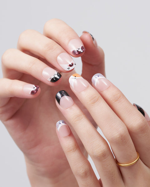 Kitten French|manicure|cat|animal|colourful|glossy|squoval|short|french ...